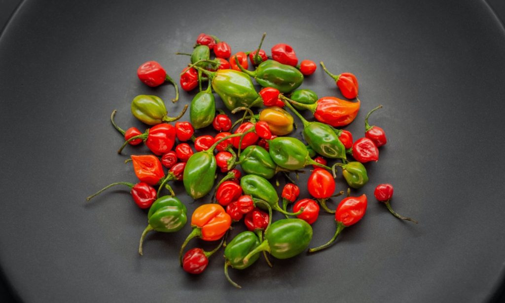 Mexico's hottest chillies