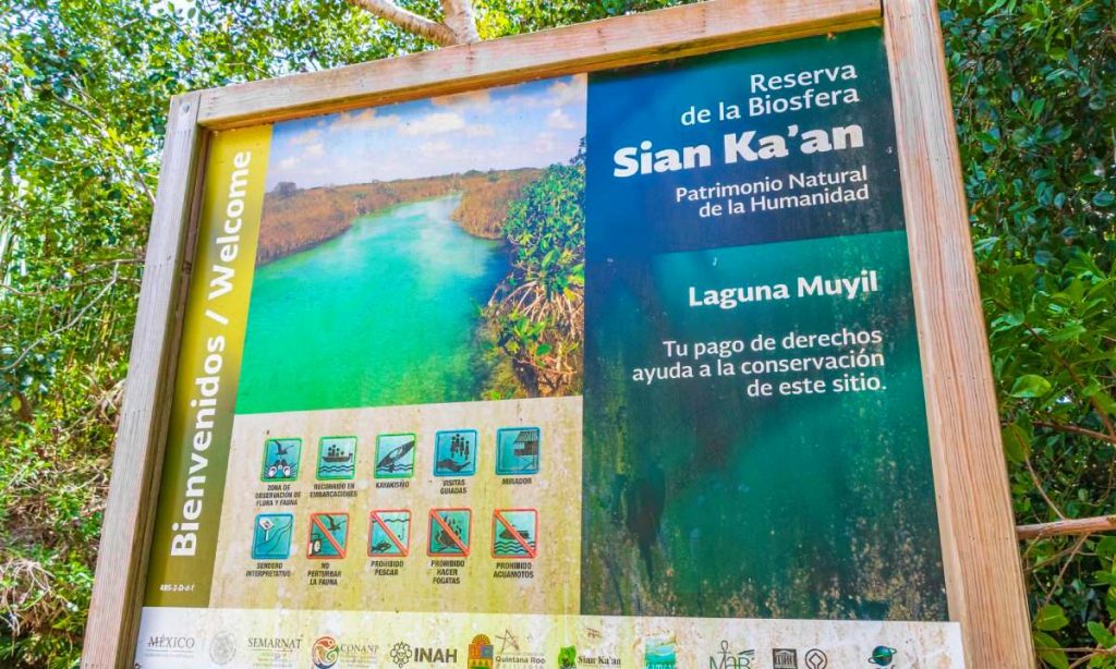 Explore the Sian Ka'an Biosphere, a natural paradise
