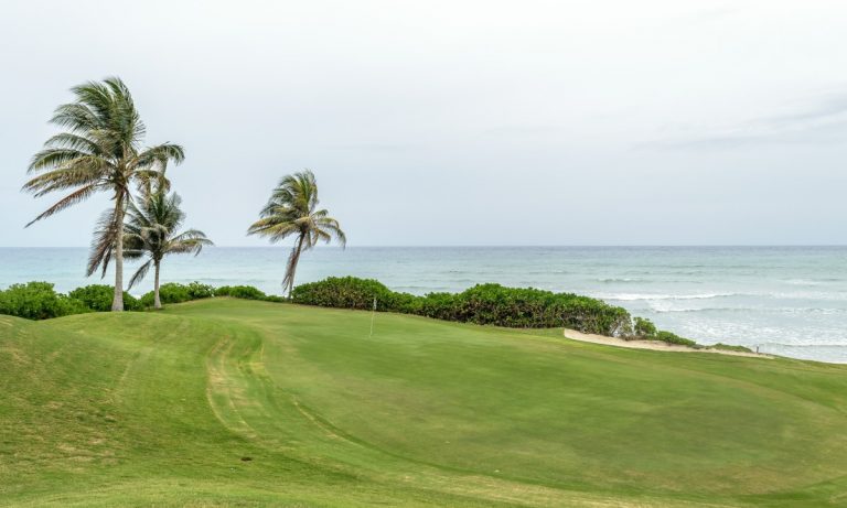 Visit the best golf courses in Jamaica