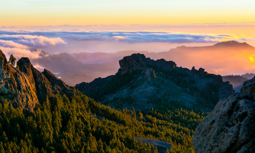 Seven typical Dominican Republic dishes you must try